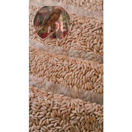 Jual HAVERSEED SUPER HAVER SEED OVEN KUPAS BIJI HAVER OAT PAKAN KENARI ...