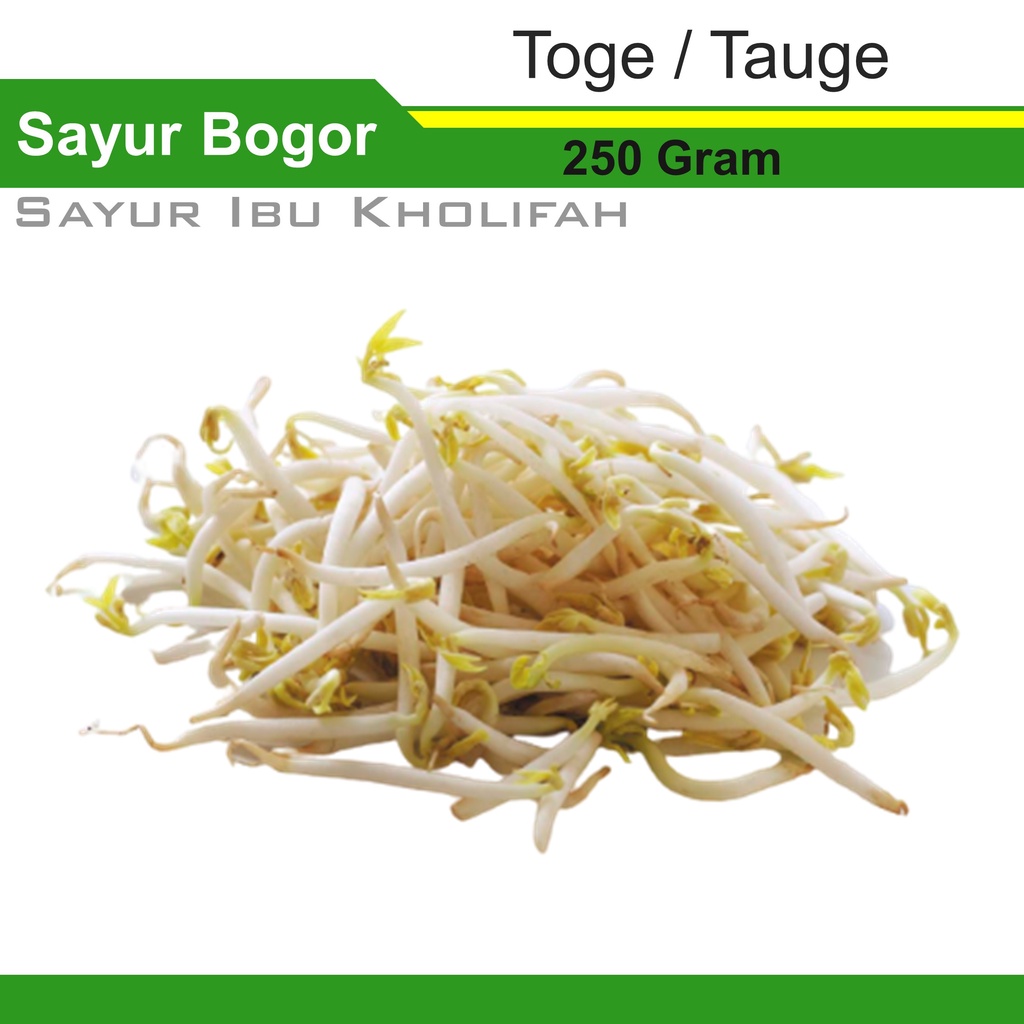 Jual Toge / Tauge / Touge 250 Gram Sayur Sayuran Segar Bogor | Shopee ...