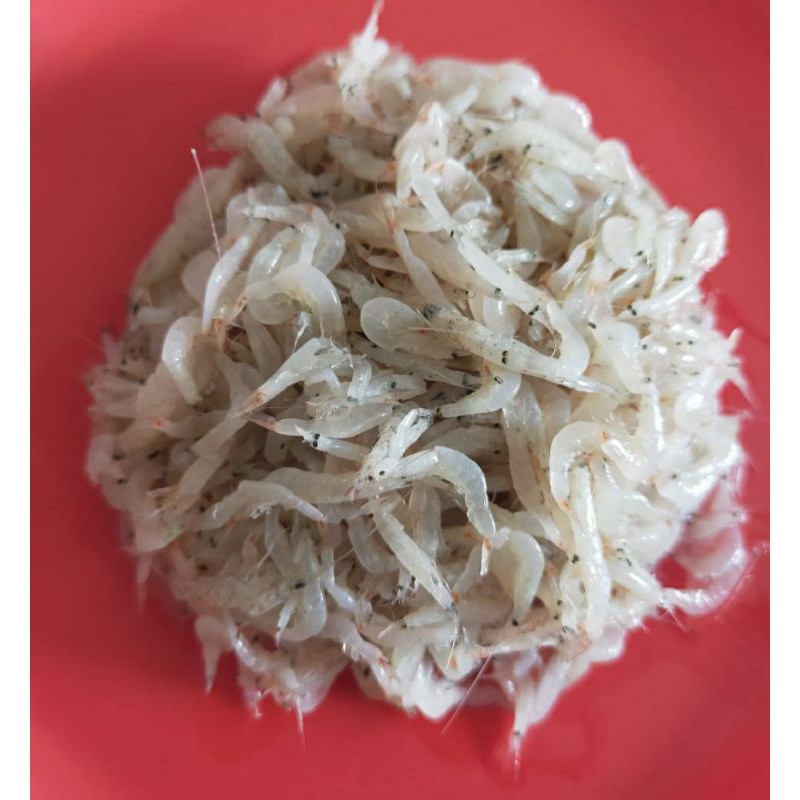 Jual Udang REBON BASAH 200 GRAM | Shopee Indonesia