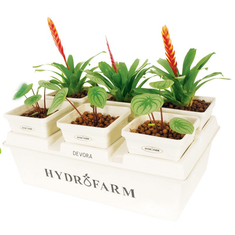 Jual Hydrofarm - Devora (6 pot) | Shopee Indonesia