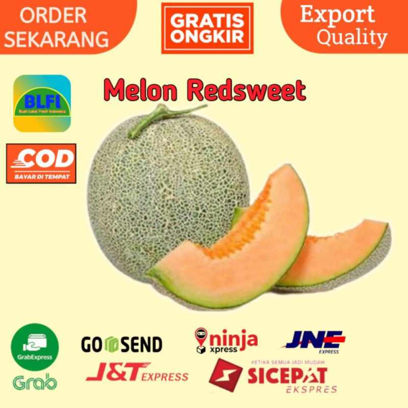 Jual BUAH MELON ROCK MELON OREN/ROCK MELON PCS | Shopee Indonesia