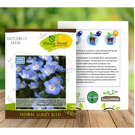 Jual Benih-Bibit Bunga Baby Blue Eyes (Haira Seed) | Shopee Indonesia