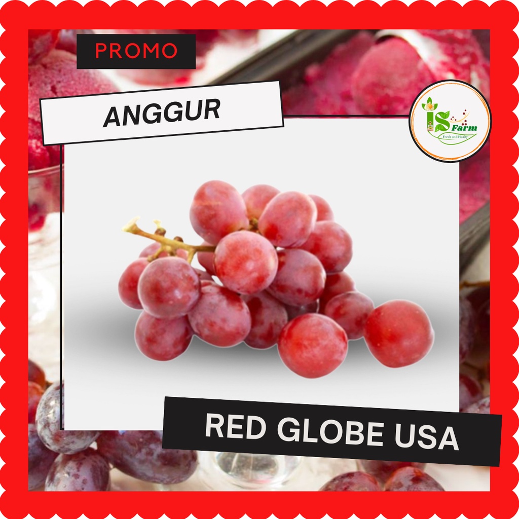 Jual Anggur Red Globe USA 1kg | Shopee Indonesia