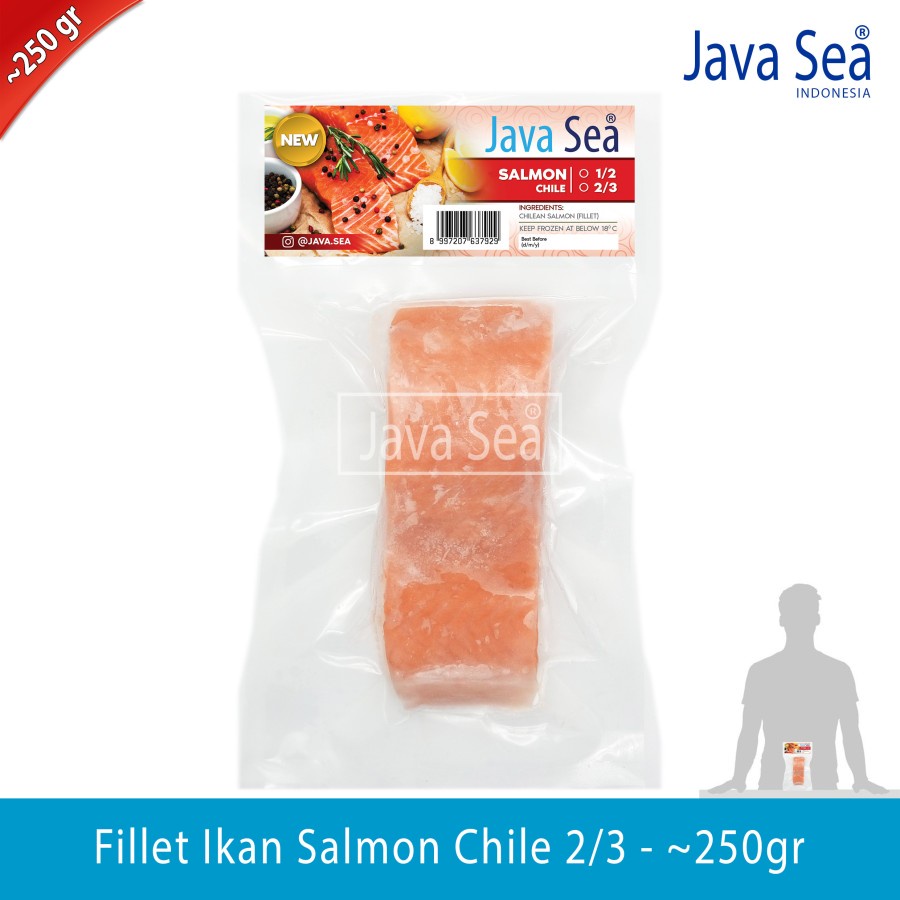 Jual Ikan Salmon Chile Fillet 2/3 Beku pack 200-300gr | Shopee Indonesia