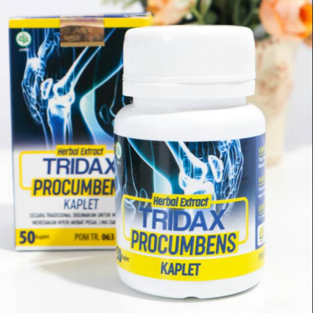 Jual Kaplet Tridax Procumbens Obat Nyeri Sendi Asam Urat BPOM [COD] Surabaya | Shopee Indonesia