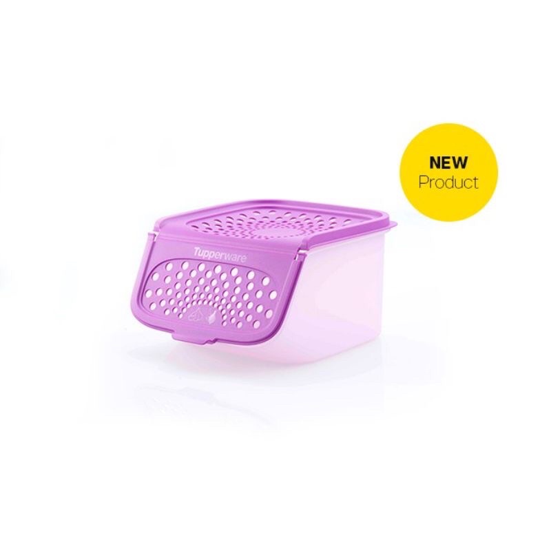 Jual Access Mate (1) | Shopee Indonesia