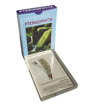 Jual Bioplastik Awetan Spesimen | Shopee Indonesia