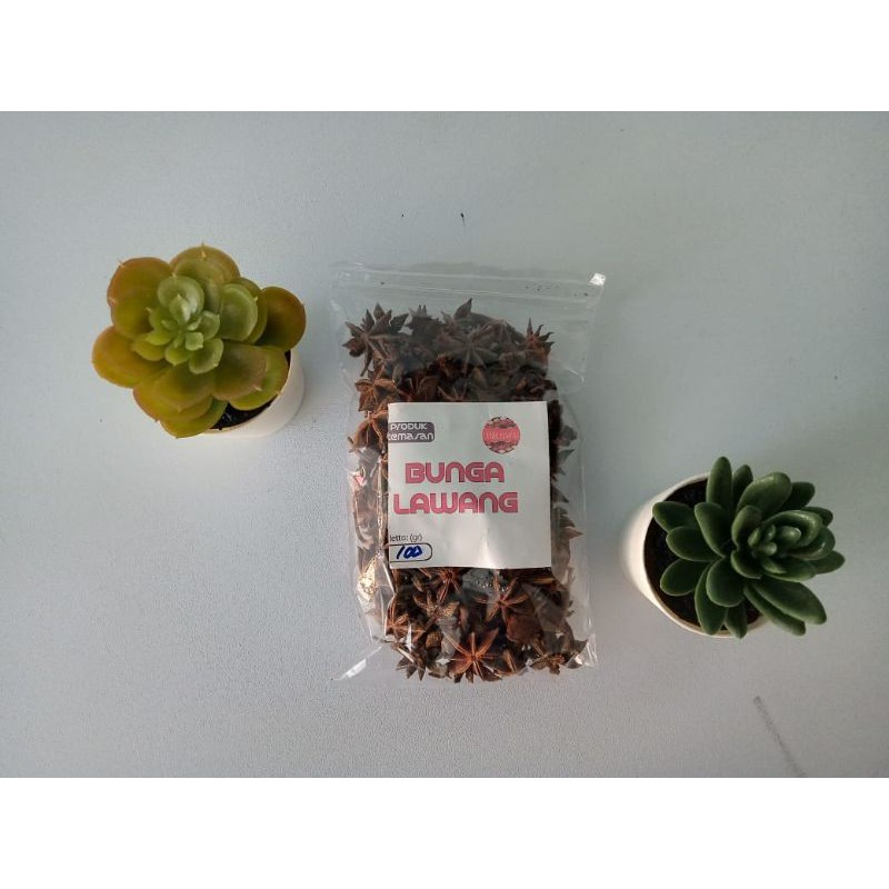 Jual Bunga Lawang 100gr | Shopee Indonesia