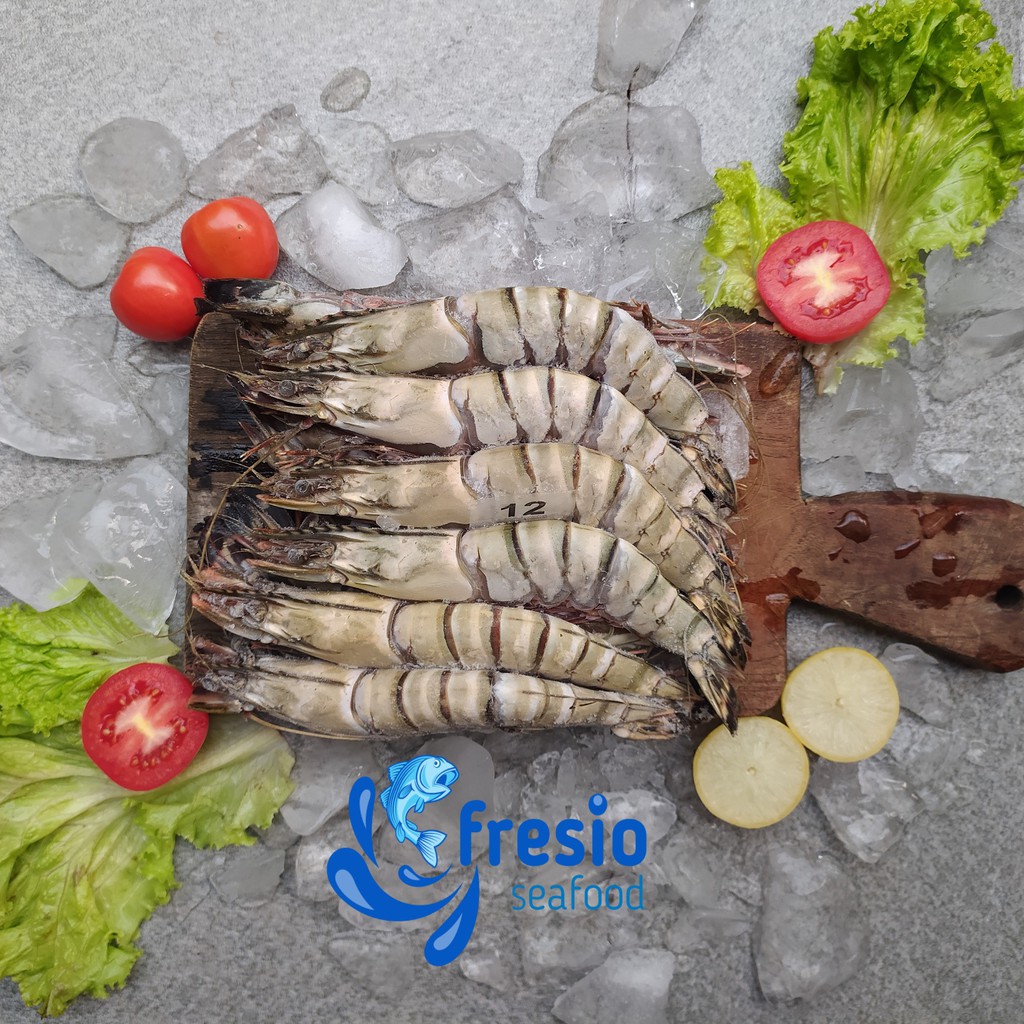 Jual Black Tiger Shrimp / Tiger Prawn Segar / Udang Papua Segar Size ...