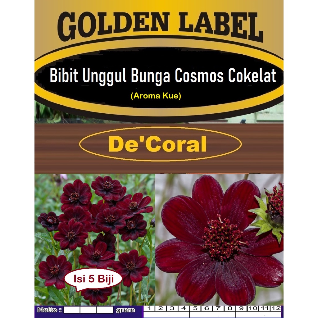 Jual Bibit Bunga Cosmos Cokelat Aroma Kue|Benih Bunga Cosmos ...