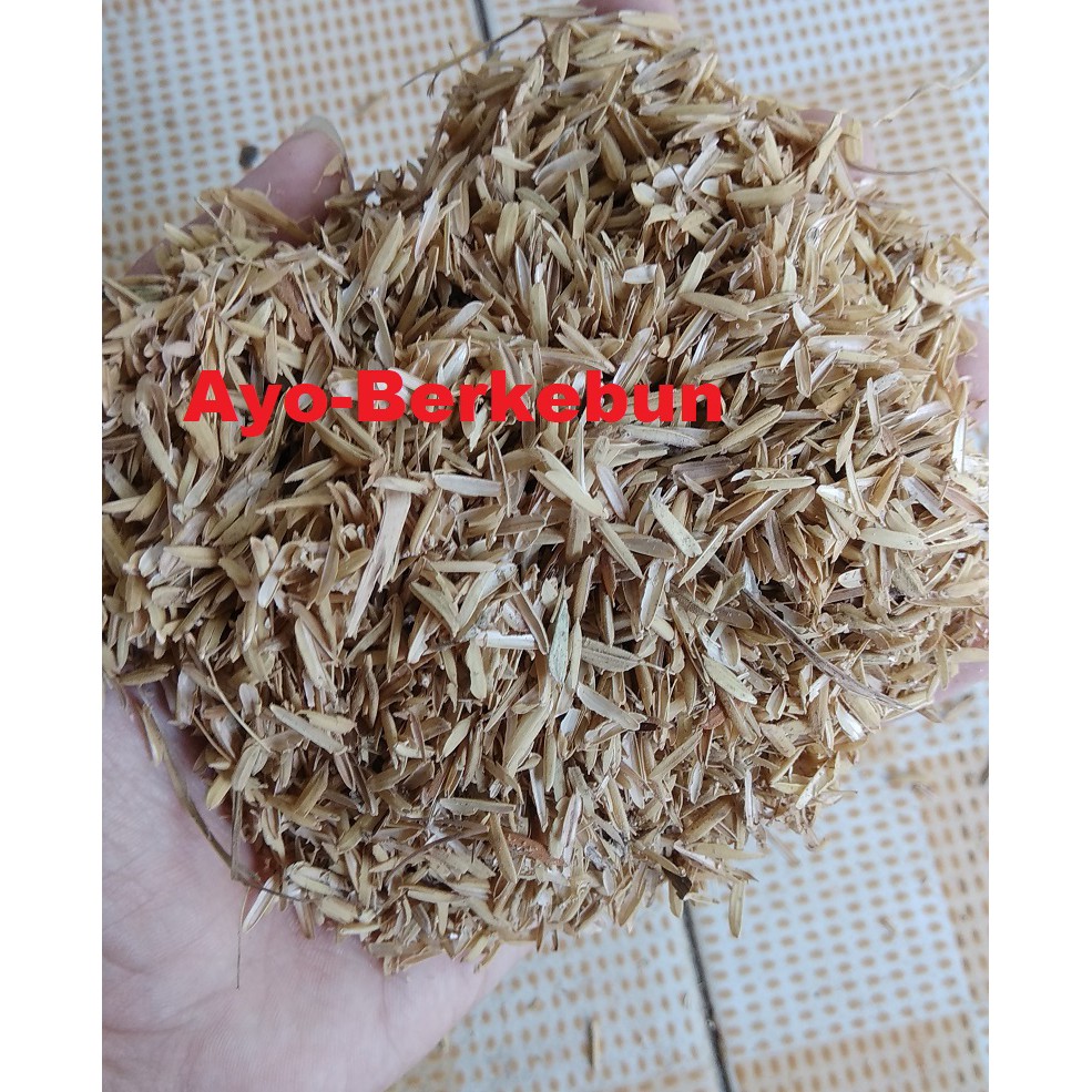 Jual Sekam Padi Terlengkap & Harga Terbaru Mei 2026 | Shopee Indonesia