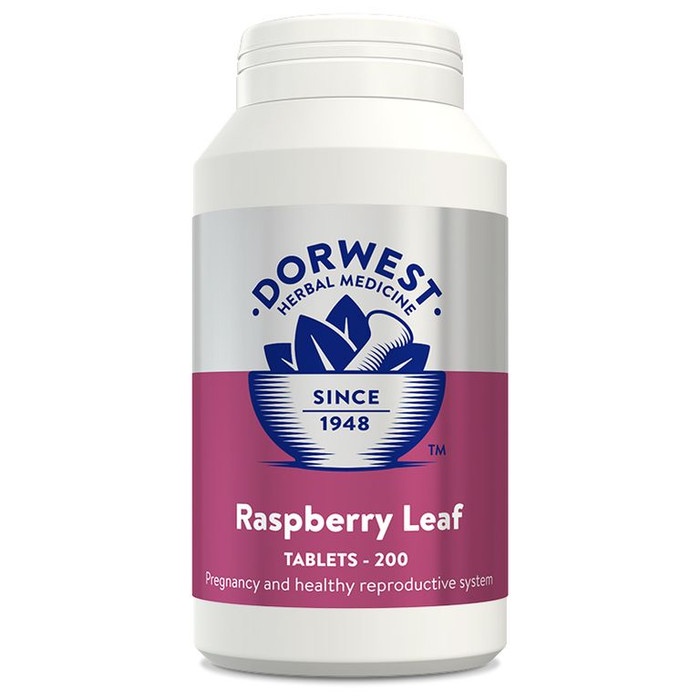 Jual DORWEST Raspberry Leaf Tablets - 200 tablets | Shopee Indonesia