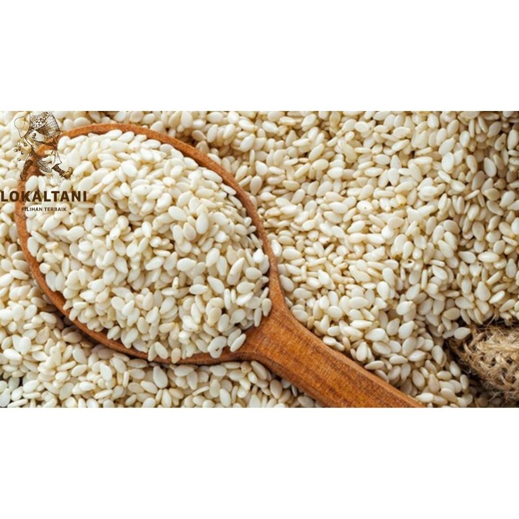 Jual Biji wijen putih/ white sesame seed 500GR | Shopee Indonesia
