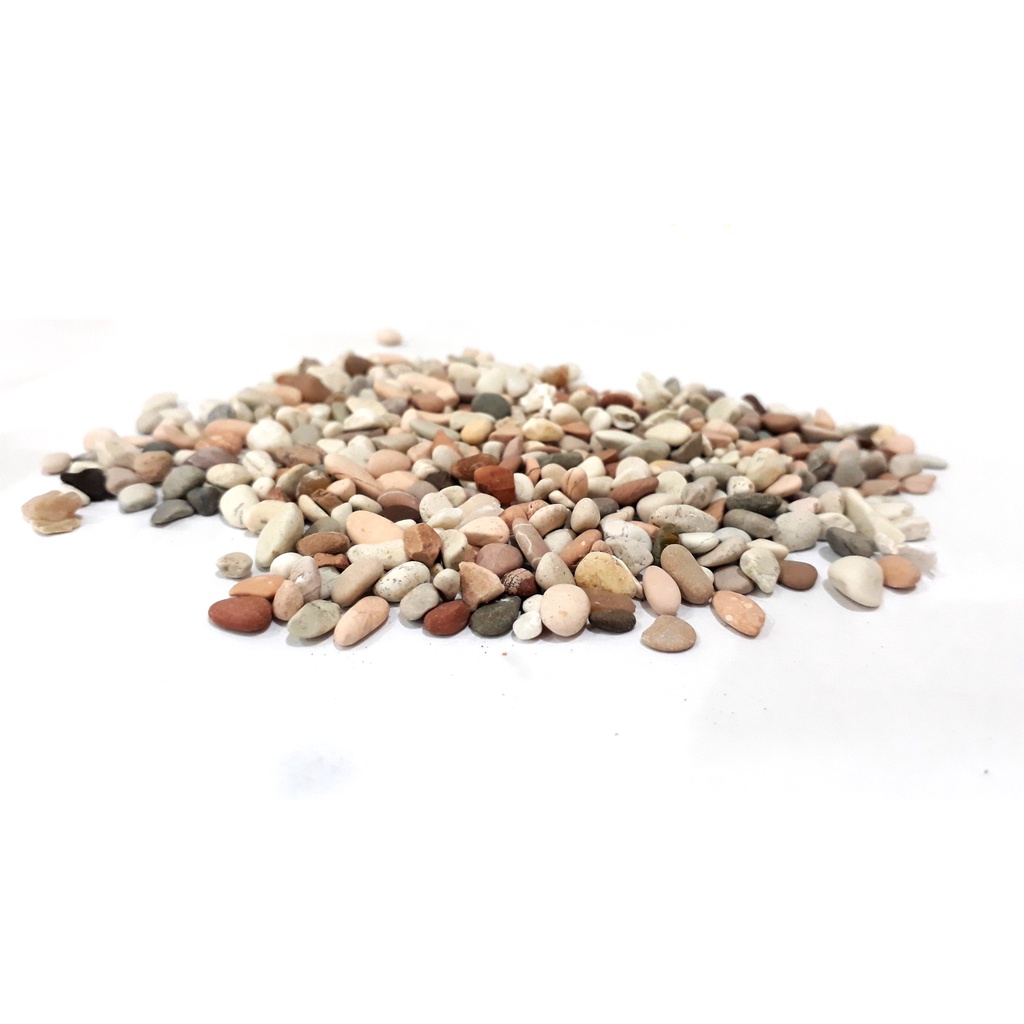Jual Pasir Batu Koral Hias Pancawarna Untuk Taman Terrarium/Aquascape/Aquarium 1Kg | Shopee ...