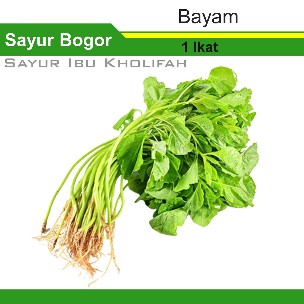 Jual Bayam 1 Ikat Makanan Sayur Sayuran Segar Online Bogor | Shopee ...