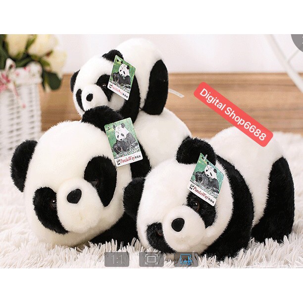 Jual BONEKA PANDA DUDUK LEMBAT DAN LUCU BANGET UKURAN TINGGI 25 CM ...