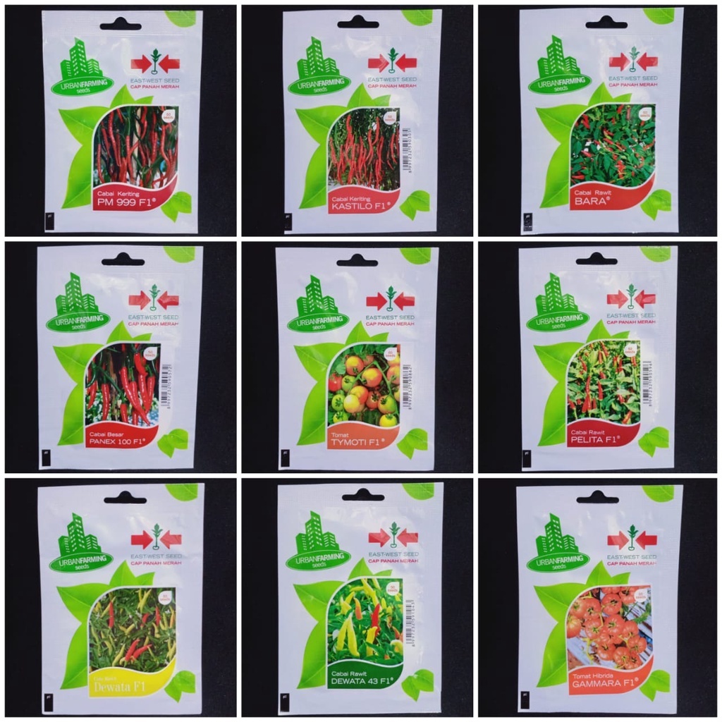 Jual benih sayur dan buah - ANEKA CABE UF - benih cabe rawit - benih ...