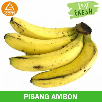 Jual Pisang Ambon 1Kg Buah Segar Garansi Termurah | Shopee Indonesia