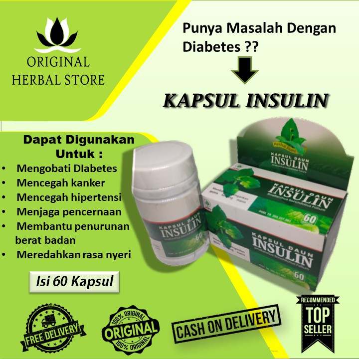 Jual Kapsul Insulin - Obat Herbal Diabetes - Herbal Diabetes - Kapsul ...