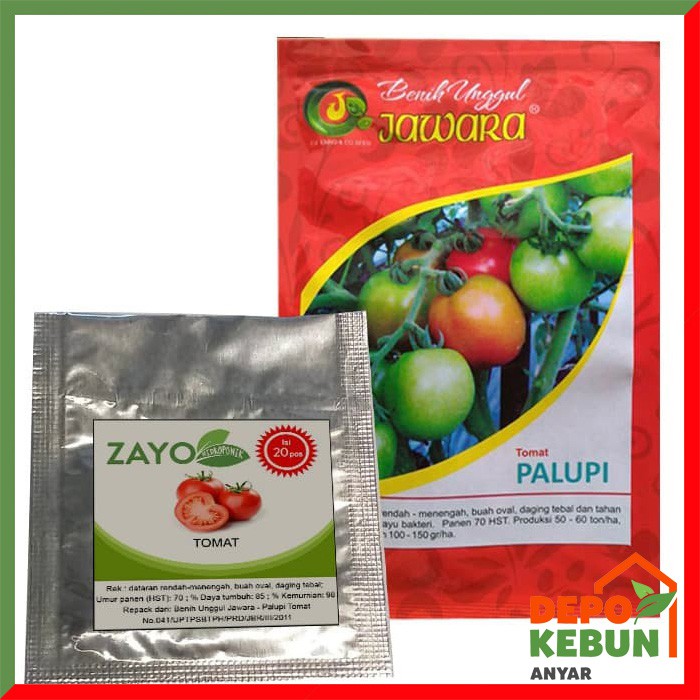 Jual BENIH TOMAT BESAR / BIBIT TOMAT BESAR | Shopee Indonesia