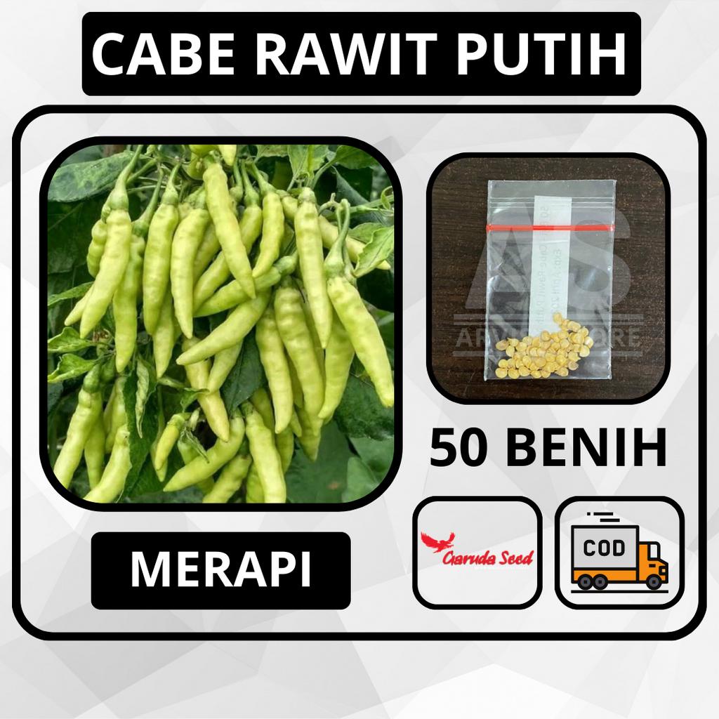 Jual 50 Butir - Cabe Rawit Putih MERAPI Cabai Garuda Seed Bibit Tanaman ...