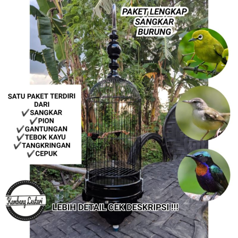 Jual PAKET LENGKAP SANGKAR BURUNG PLECI HOLOPET TINGGAL PAKAI | Shopee ...