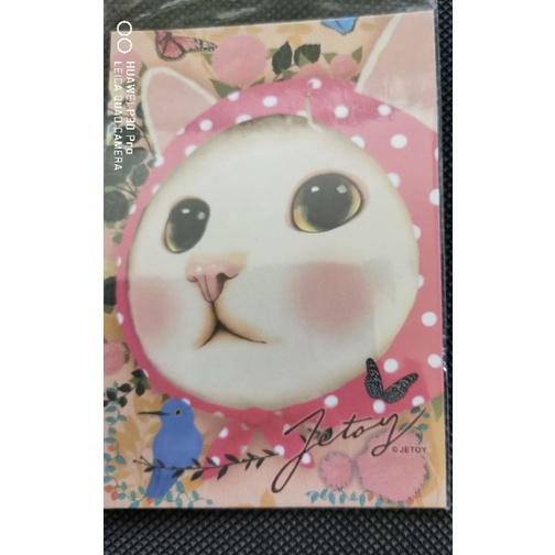 Jual kartu pos kucing jetoy/jetoy cat postcard | Shopee Indonesia