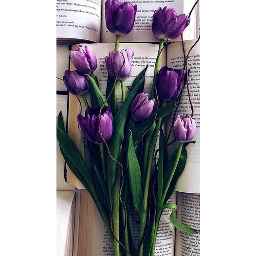 Jual Walldecor dinding motif bunga tulip | Pajangan penghias dinding ...