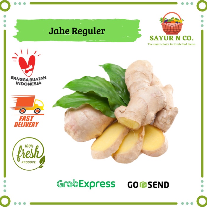 Jual Jahe Gajah / Jahe Putih Besar | Sayur N Co Bekasi | Shopee Indonesia