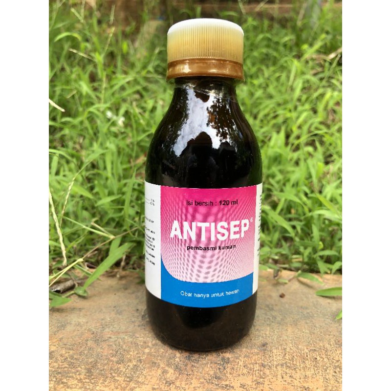 Jual Antisep 120 ml (pembasmi kuman) | Shopee Indonesia