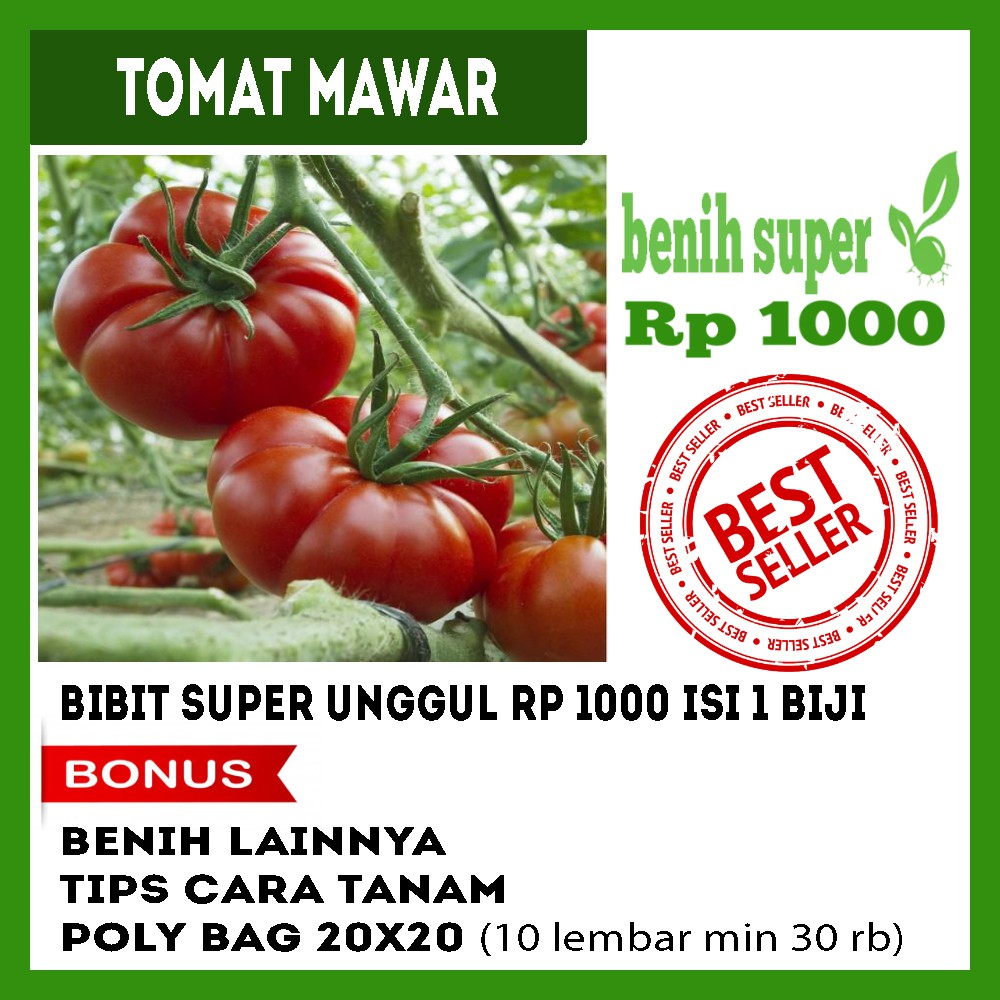 Jual BENIH TOMAT MAWAR SUPER BIBIT SAYURAN UNGGUL | Shopee Indonesia