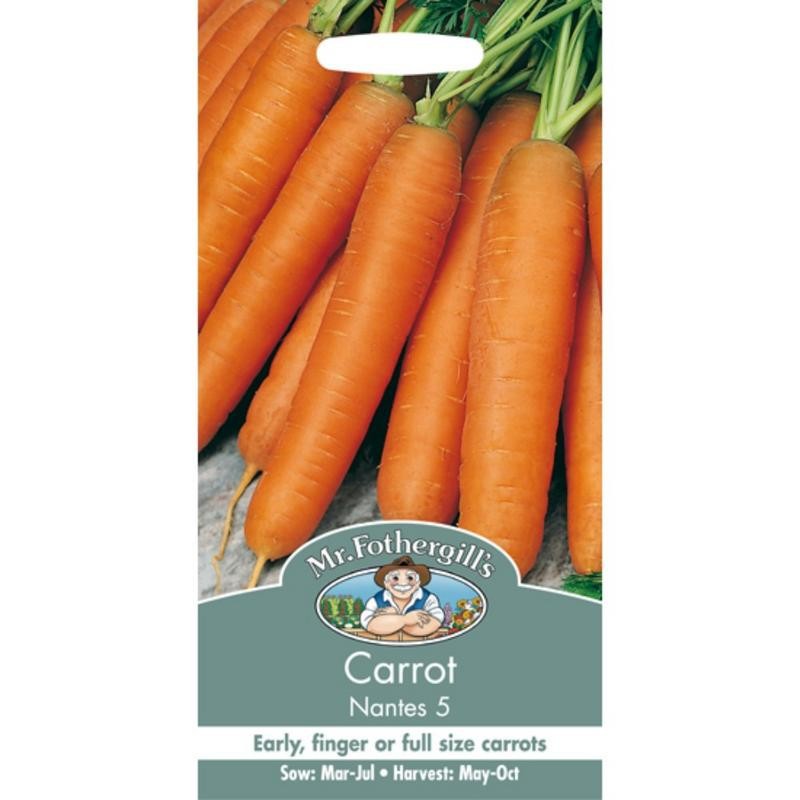 Jual Mr. F CARROT Nantes 5 | Shopee Indonesia