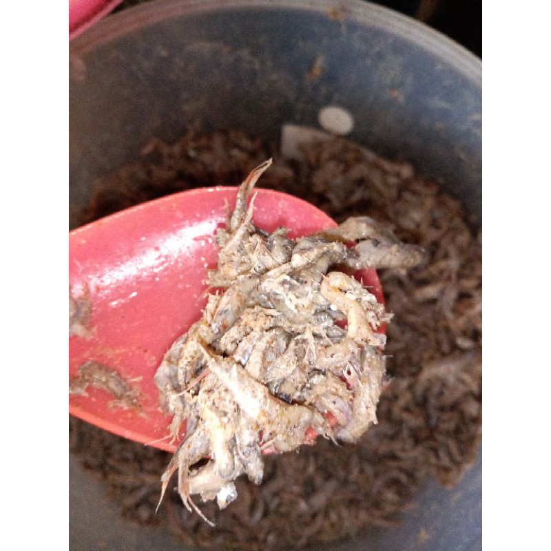 Jual rusip rusep rusit ikan seluang makanan khas daerah | Shopee Indonesia