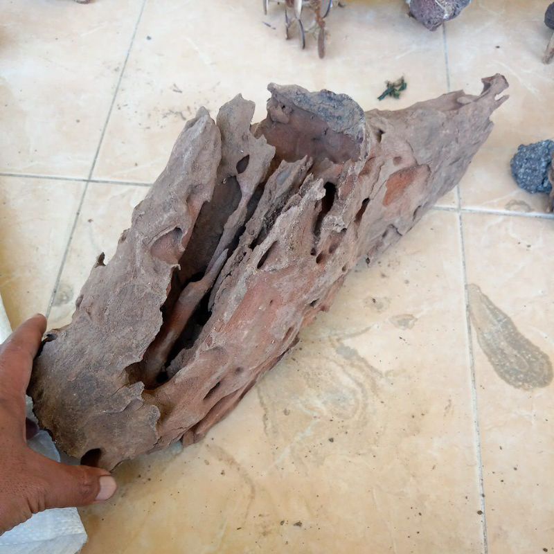 Jual kayu rentek aquarium ukuran L | Shopee Indonesia