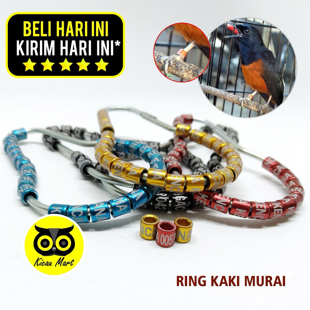 Jual RING BURUNG LASER RING PENANDA KAKI BURUNG MURAI GELANG PENGAMAN ...