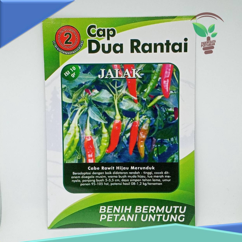 Jual BENIH BIBIT CABAI RAWIT GANTUNG 10gr !!! benih cabai rawit super ...