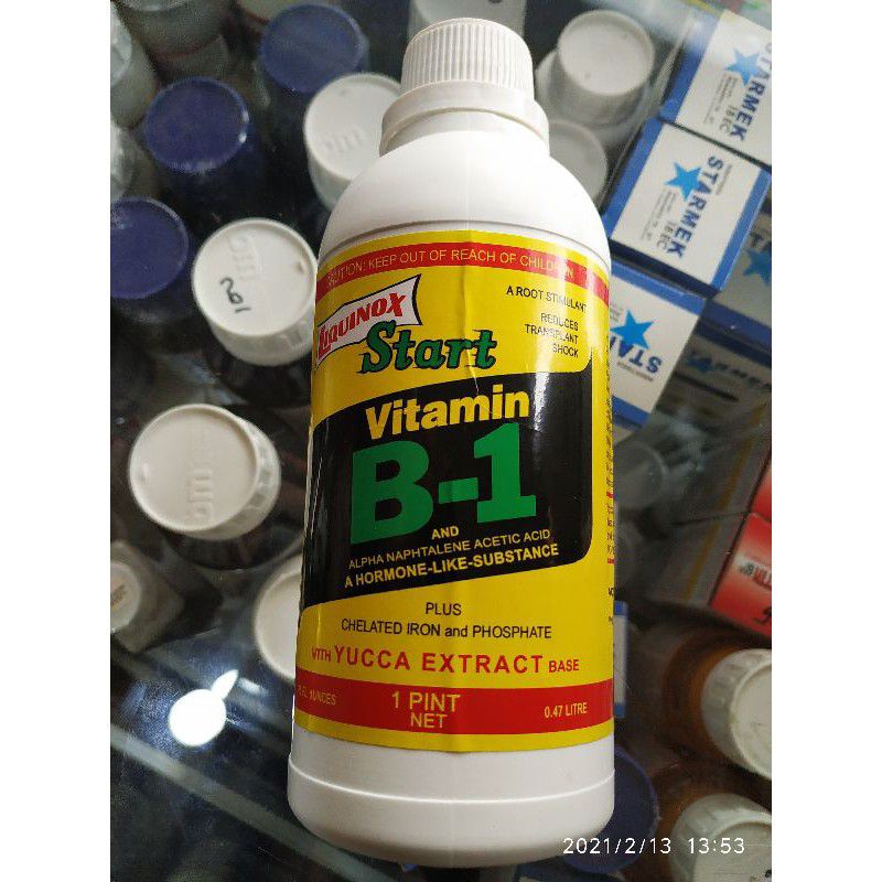 Jual Pupuk Liquinox Start Vitamin B1 500 ml untuk Tanaman - Vitamin B1 ... Jual Pupuk Liquinox Start Vitamin B1 500 ml untuk Tanaman - Vitamin B1 ...