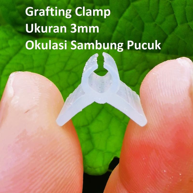 Jual Grafting Clamp 3mm Klip Clip Okulasi Penjepit Sambung Pucuk ...