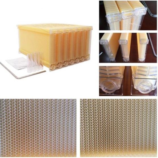 Jual Flow Honey bee hive frame 4 | Shopee Indonesia