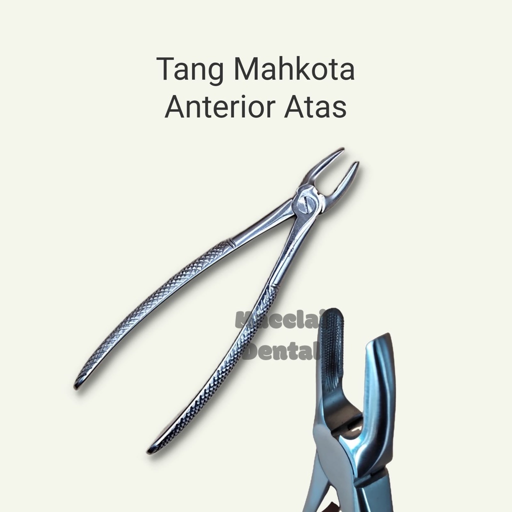 Jual DENTAL TANG CABUT GIGI DEWASA ECER / PER PCS TOOTH FORCEP SATUAN ...