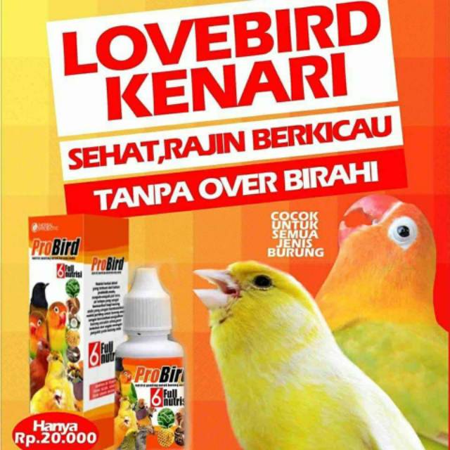 Jual Pro Bird 6 Nutrisi Pro Bird Multivitamin Untuk Semua Burung ...