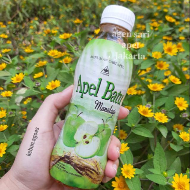 Jual SARI APEL Malang Panorama BOTOL 330ml isi 24 pcs | Shopee Indonesia