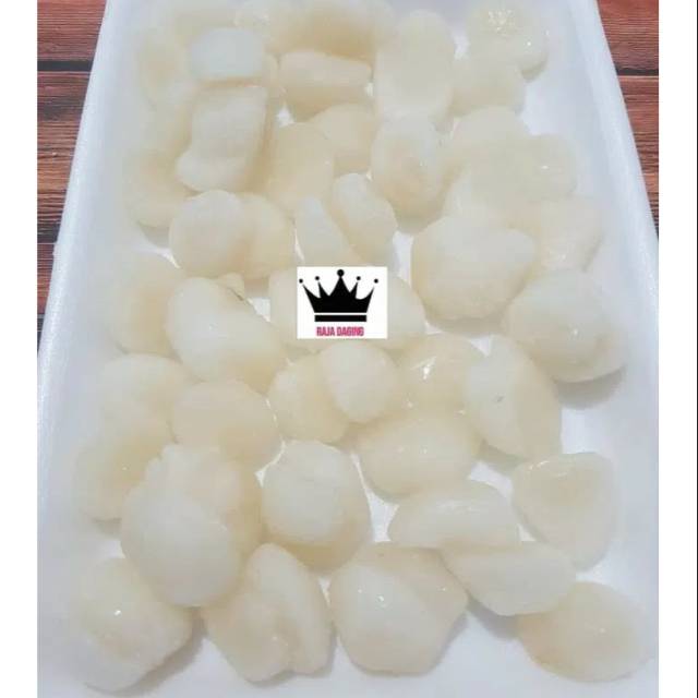 Jual Scallop / Kerang Simping / Kerang Kampak @500gr | Shopee Indonesia