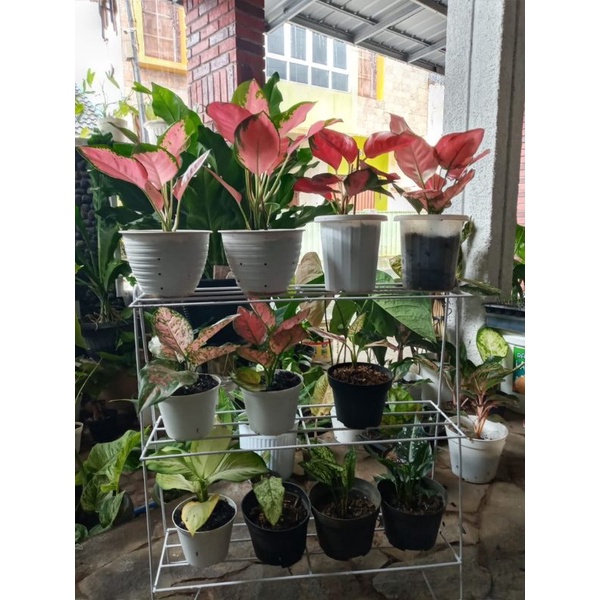 Jual standing pot/ rak besi minimalis/ rak tanaman hias /rak sepatu/rak ...