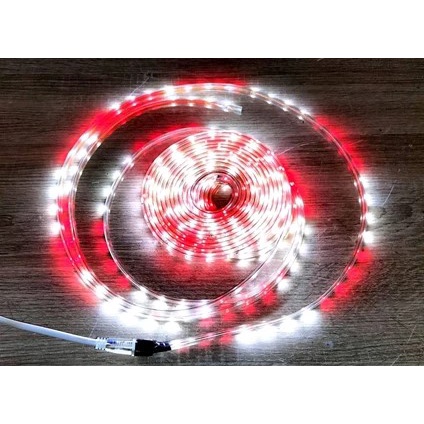 Jual Led Strip Led Selang Merah Putih Outdoor SMD Led Hias Agustusan ...