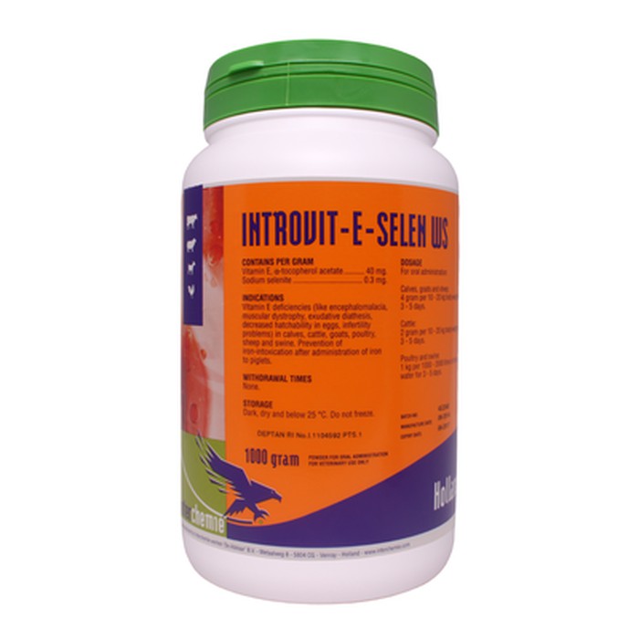 Jual INTROVIT-E-SELEN WS 100g | Shopee Indonesia