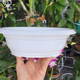 Jual SHOPEE MALL Pot bunga BONSAI 25 PUTIH HITAM Pot ceper Pot Bonsai ...