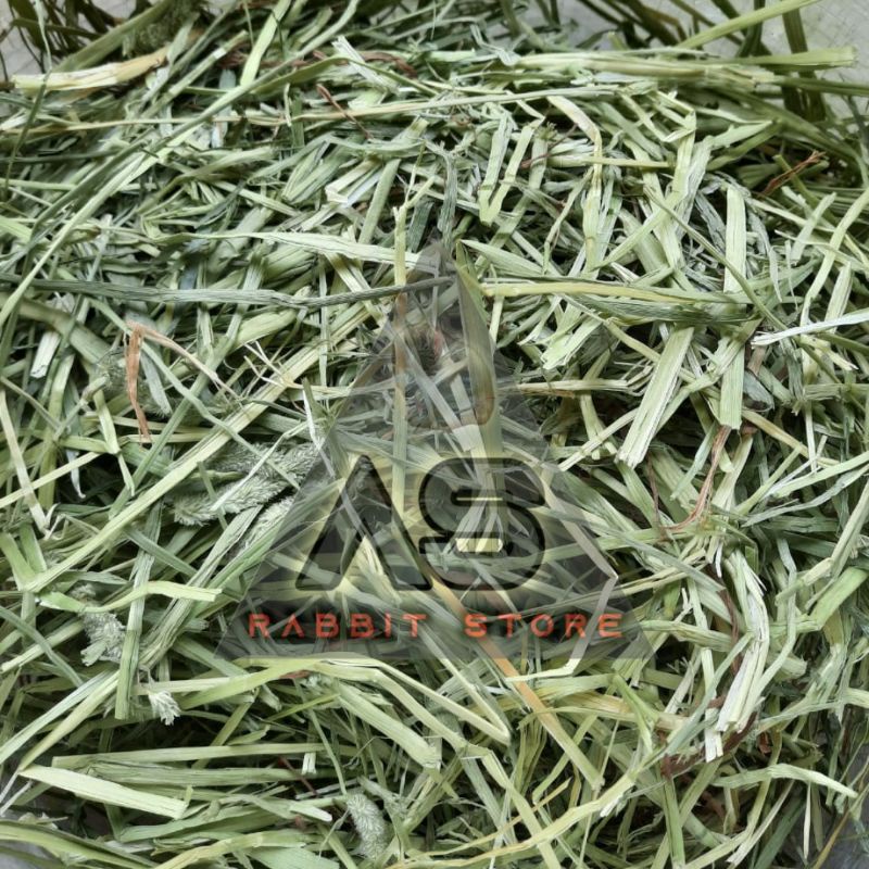 Jual timothy hay ORIGINAL REPACK 100 GRAM | Shopee Indonesia