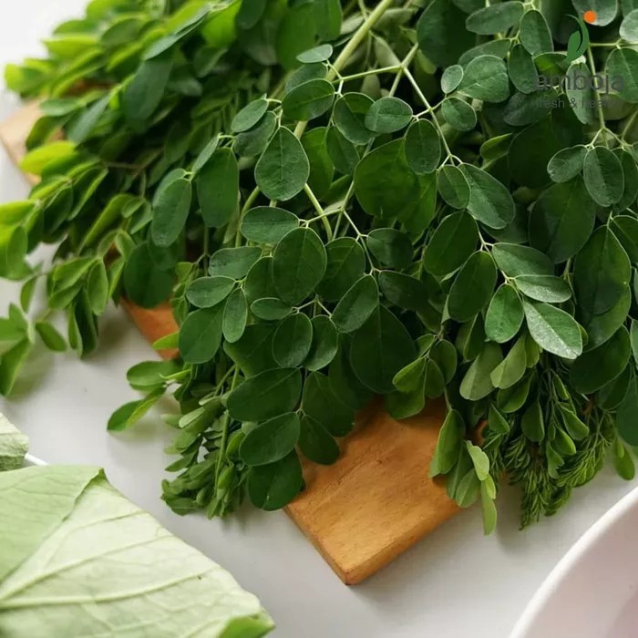 Jual Daun Kelor 100gr Sayuran Sehat Sayur Segar Pack | Shopee Indonesia