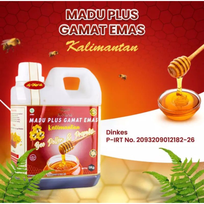 Jual Madu Kalimantan Ekstrak Gamat Emas Al Mar'ah 1kg | Shopee Indonesia